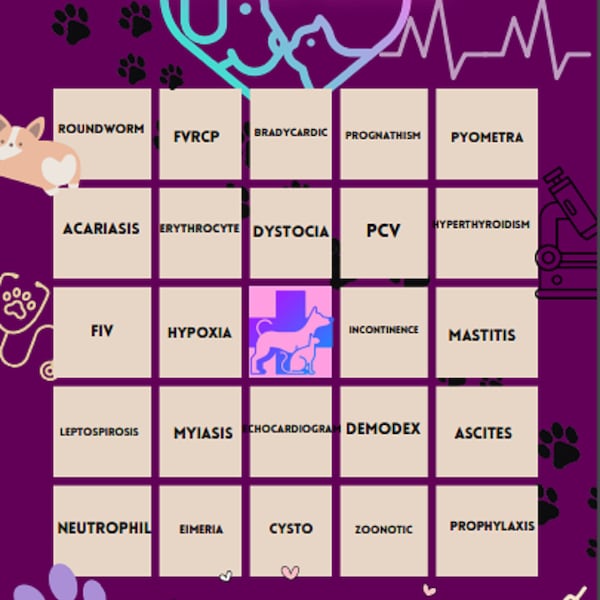 Veterinary Games for Staff - Etsy