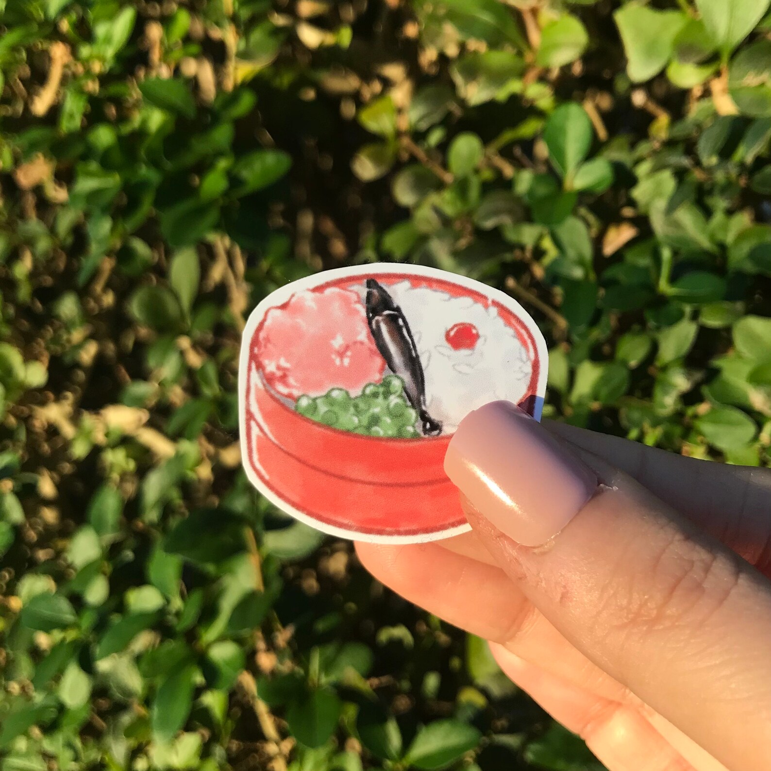 Anime Bento Box Sticker Japanese Bento Box Sticker - Etsy
