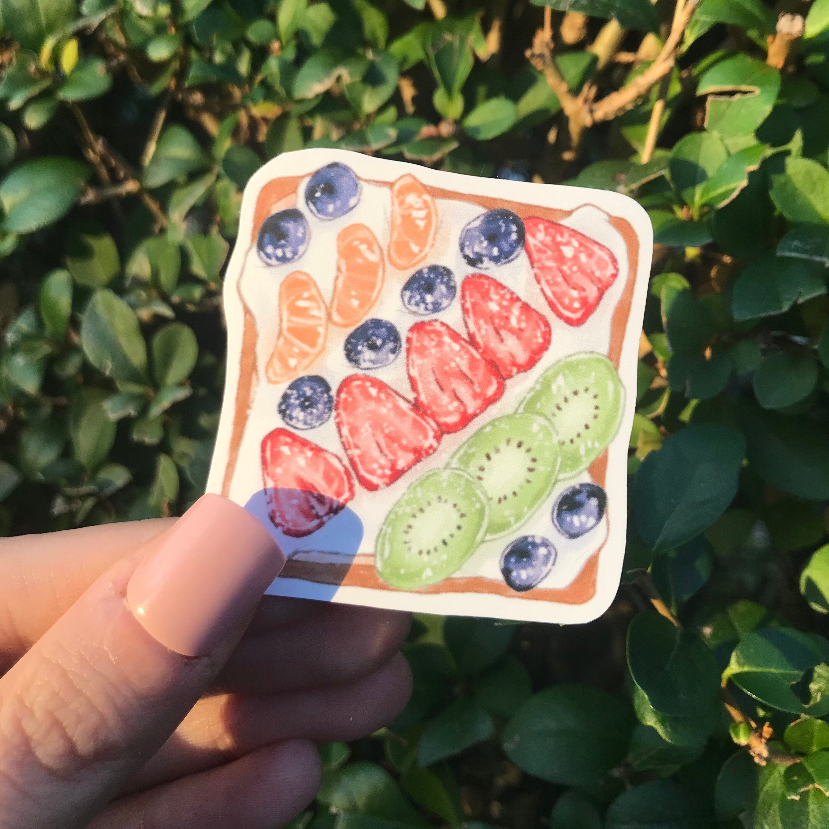 Toast Vinyl Stickers Fruit Toast Egg and Bacon Toast - Etsy