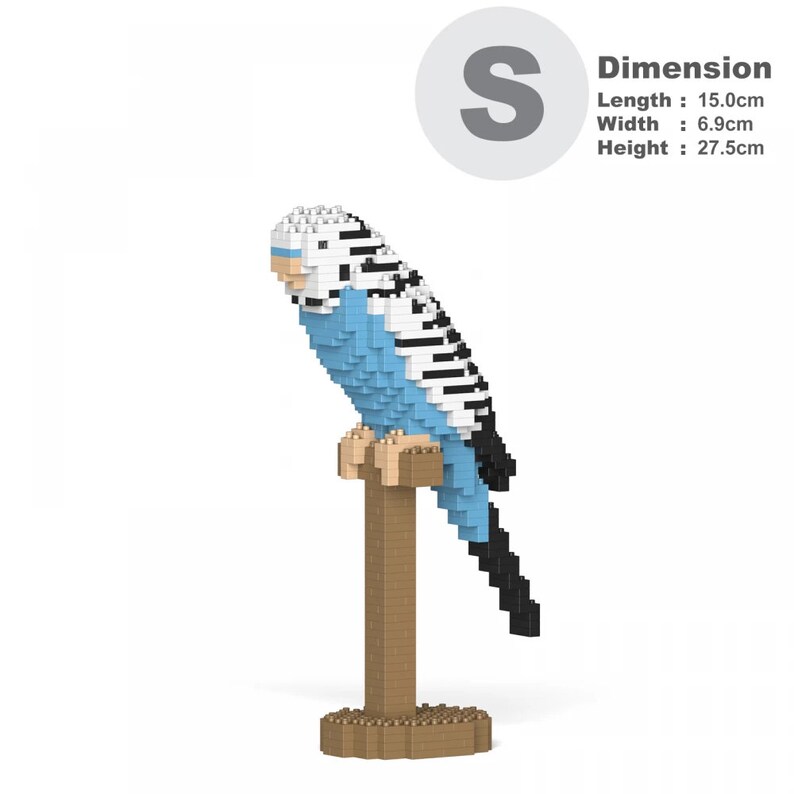Parrots Sculptures (budgie, Galah, Alexandrine, King) | 3D Building ...