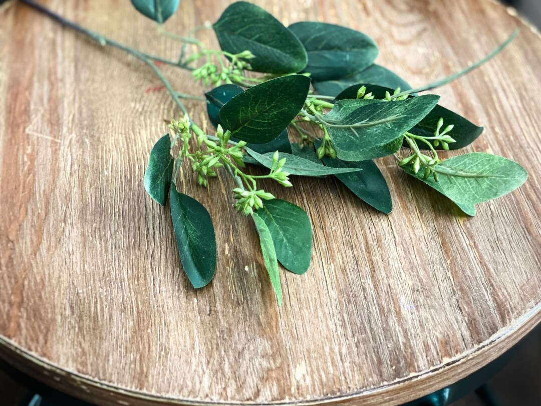 Greenery Stem, Eucalyptus Stem, Willow Stem, Ruscus Stem, DIY Greenery ...