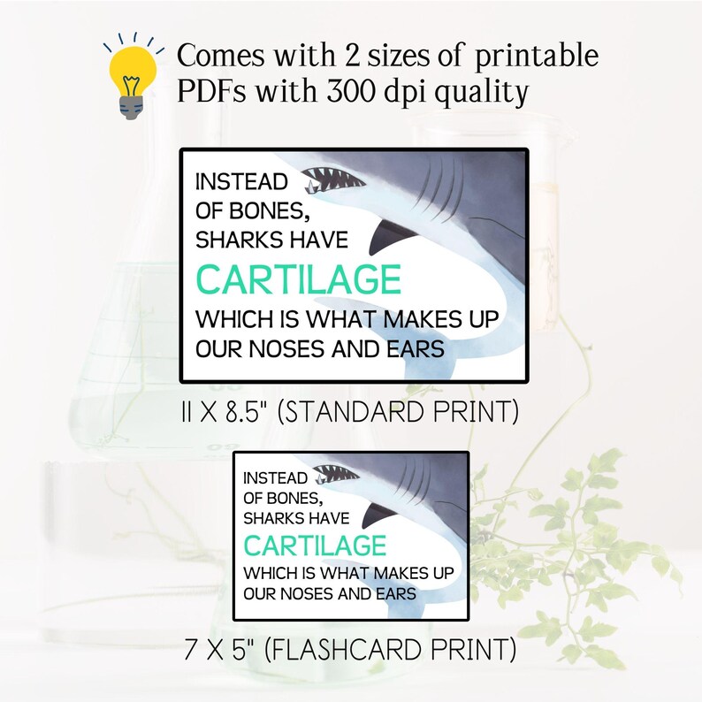 STEAM Fun Facts & Trivia Printable Minimalist Science Did-you-know ...