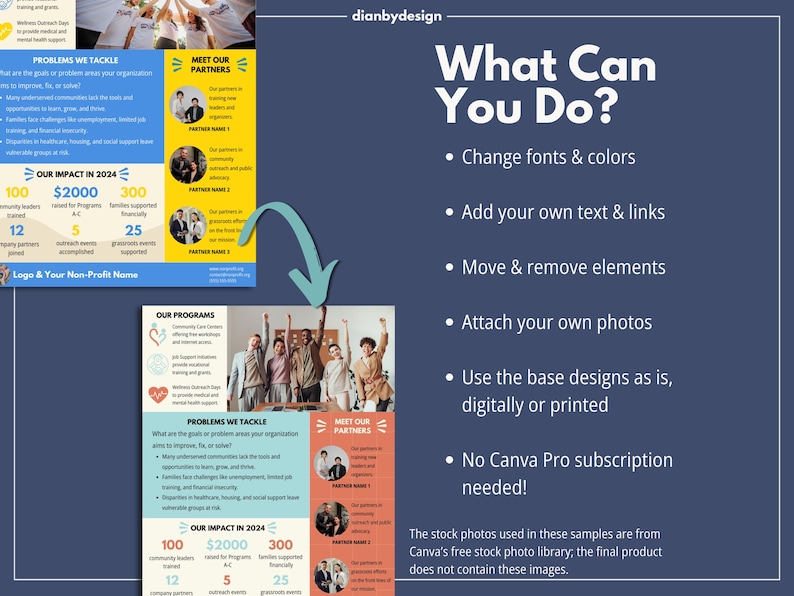 Nonprofit One Pager Template Bundle | Customizable Canva Charity ...
