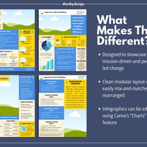 Nonprofit One Pager Template Bundle | Customizable Canva Charity ...