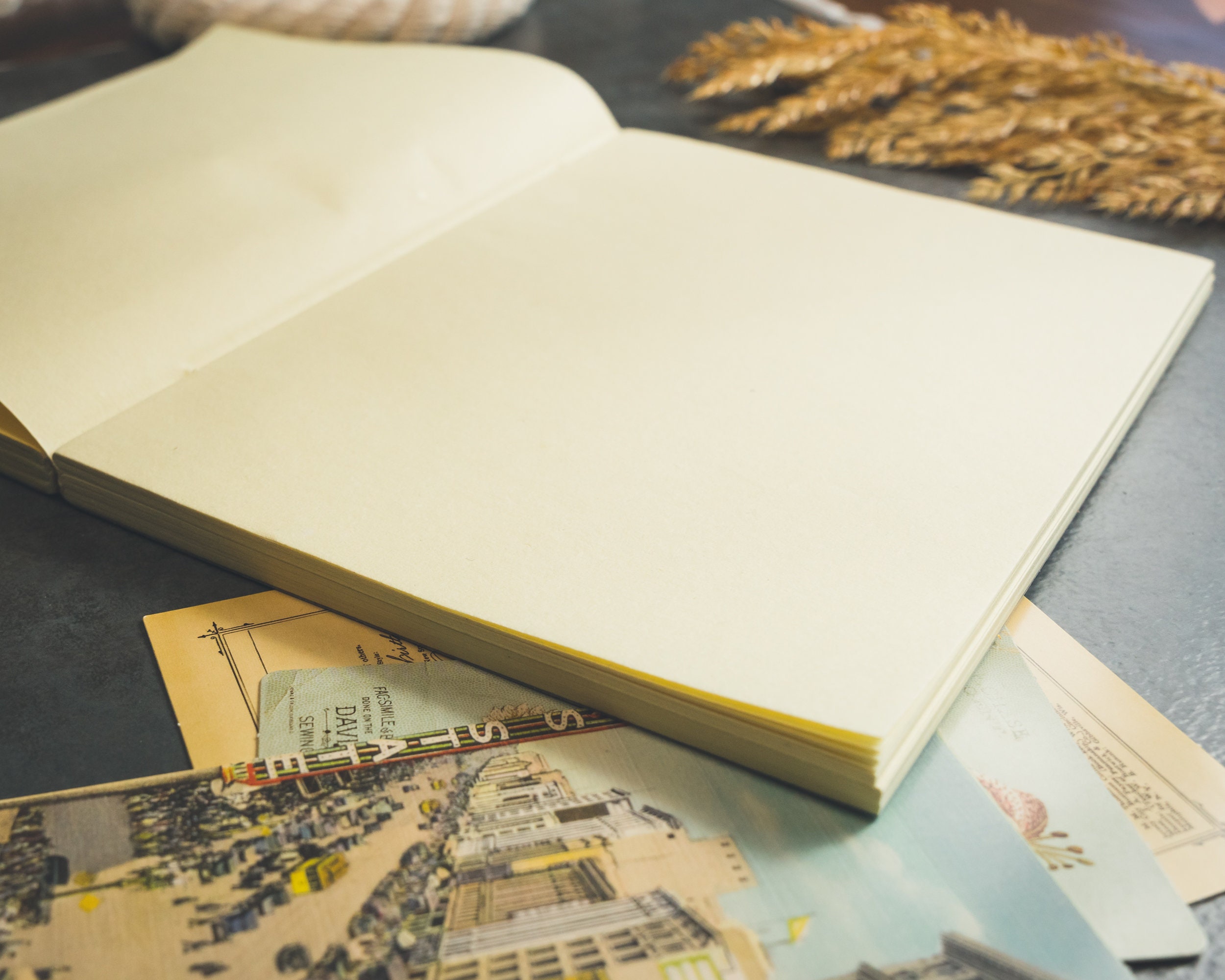 Blank Journal Refills: Cotton Paper Inserts for Leather Journals - Etsy