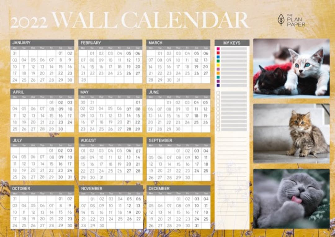 2022 Cat Wall Calendar/2022 Cat Wall Planner/ 2022 Pet Organiser, With ...