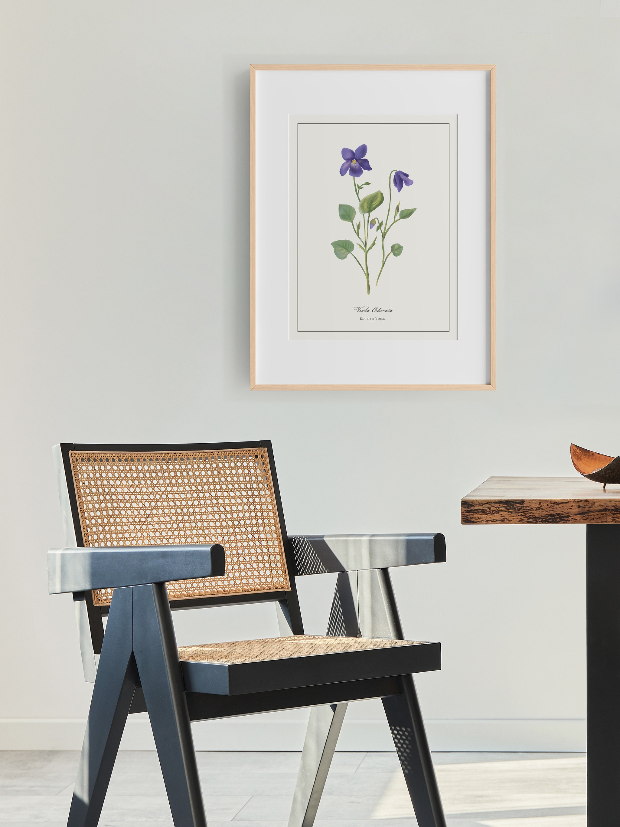 English Violet Print | Printed and Shipped Illustration | Floral ...