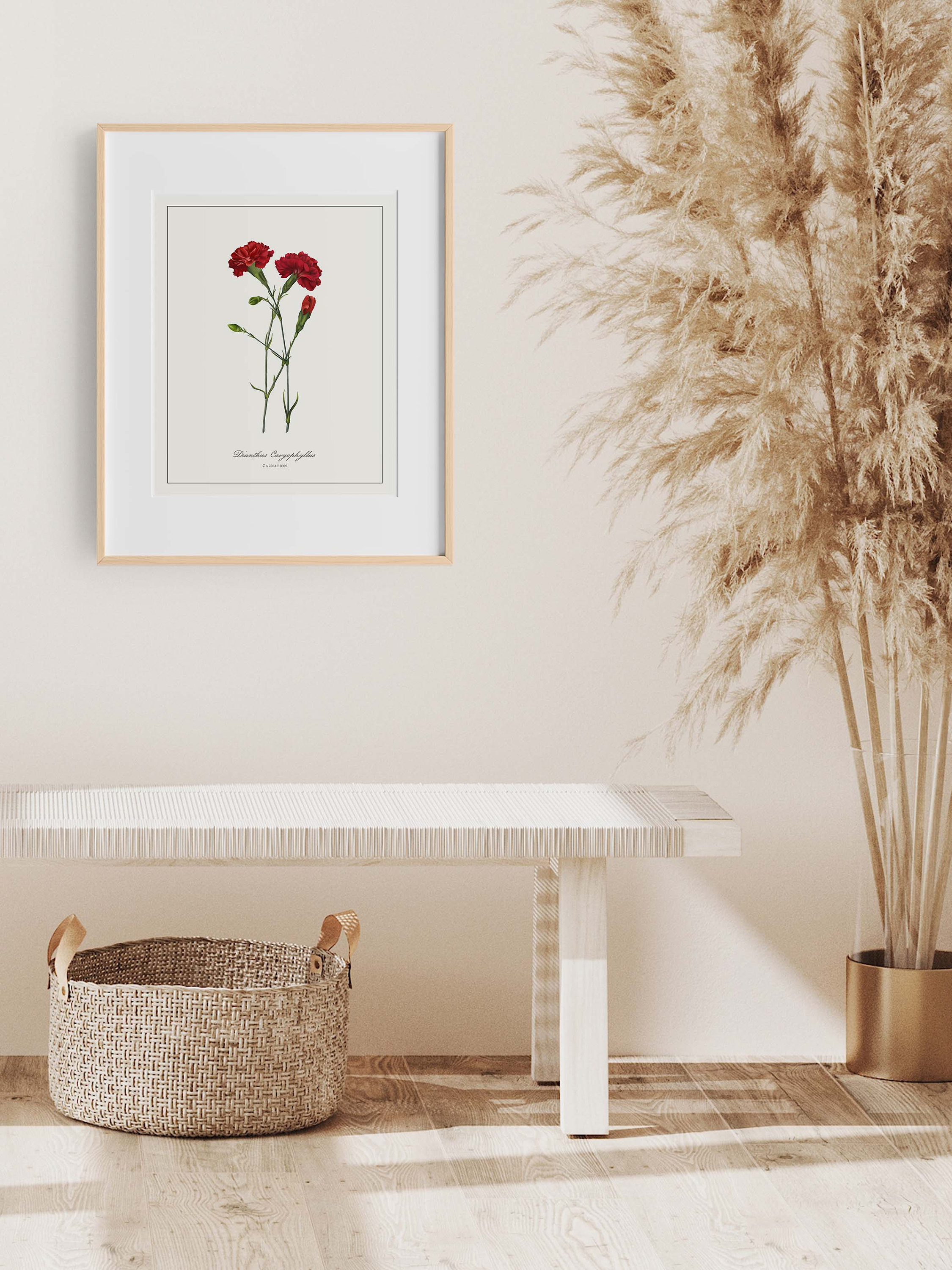 Carnation Botanical Print | Printed and Shipped Illustration | Floral ...