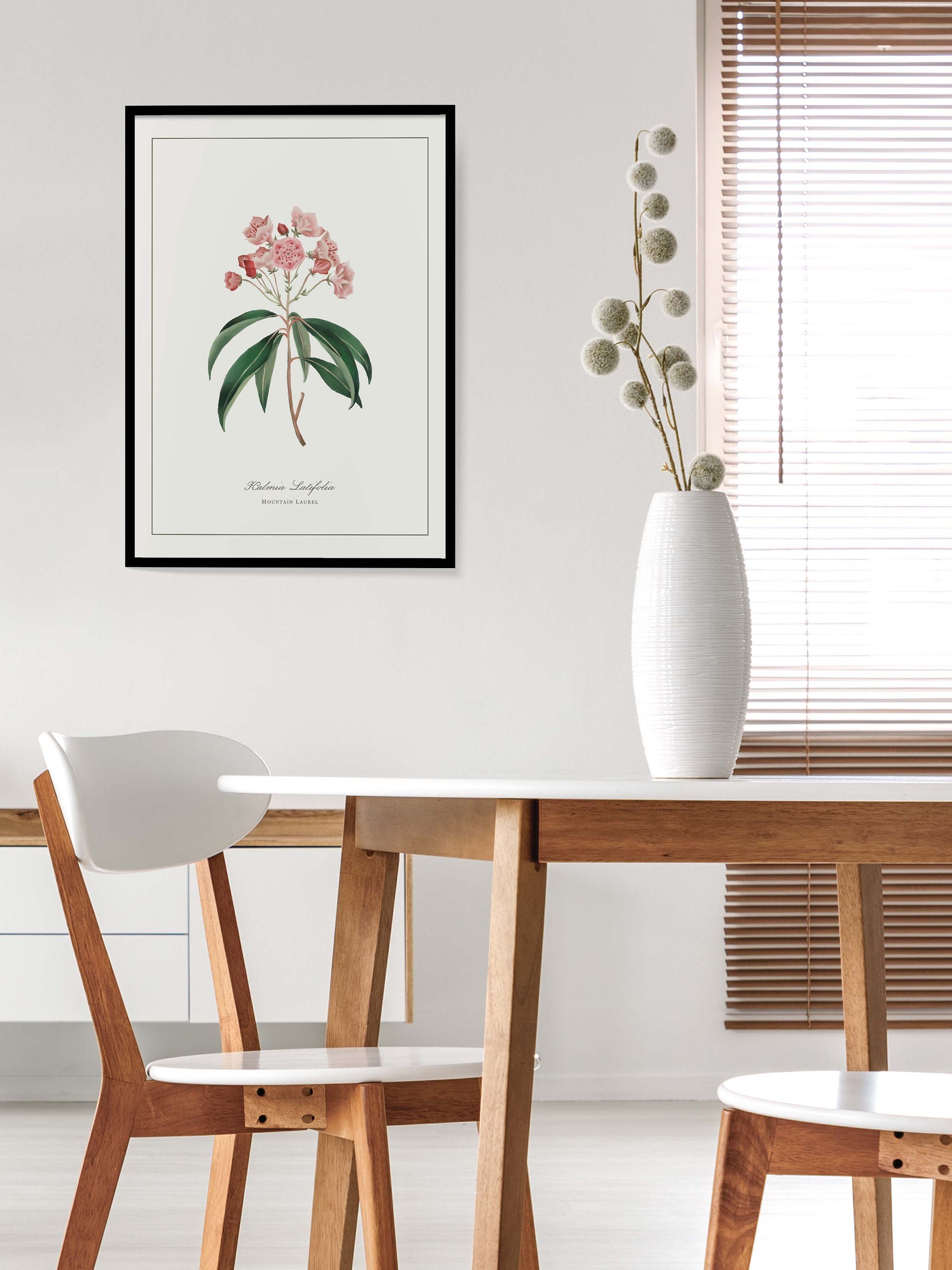 Mountain Laurel Botanical Illustration | Digital Plant Artwork ...