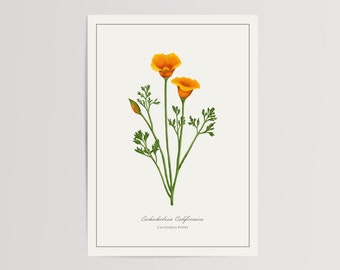 California Poppy Poster State Wall Art 5x7 8x10 11x14 - Etsy