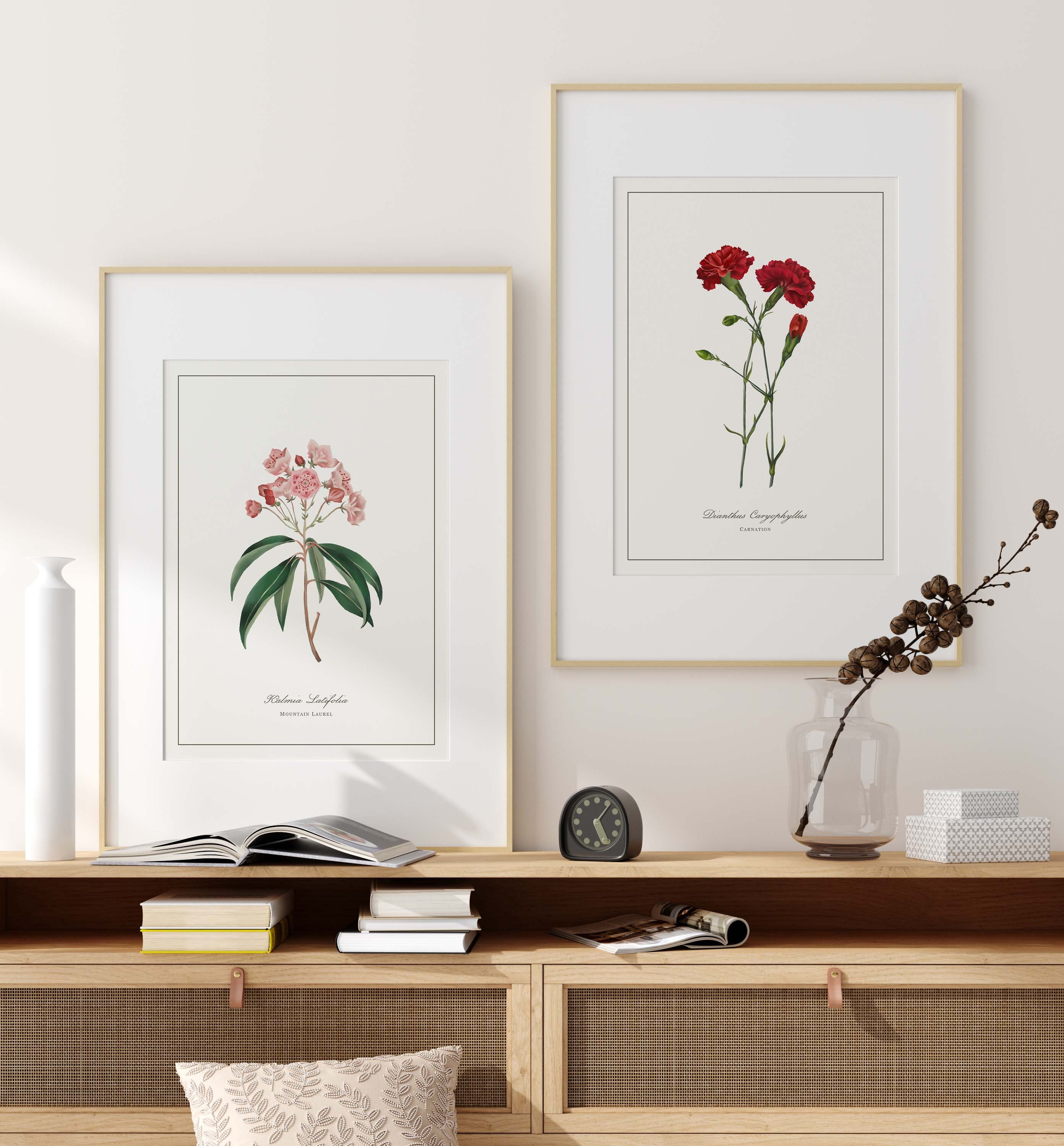 Carnation Botanical Print | Printed and Shipped Illustration | Floral ...