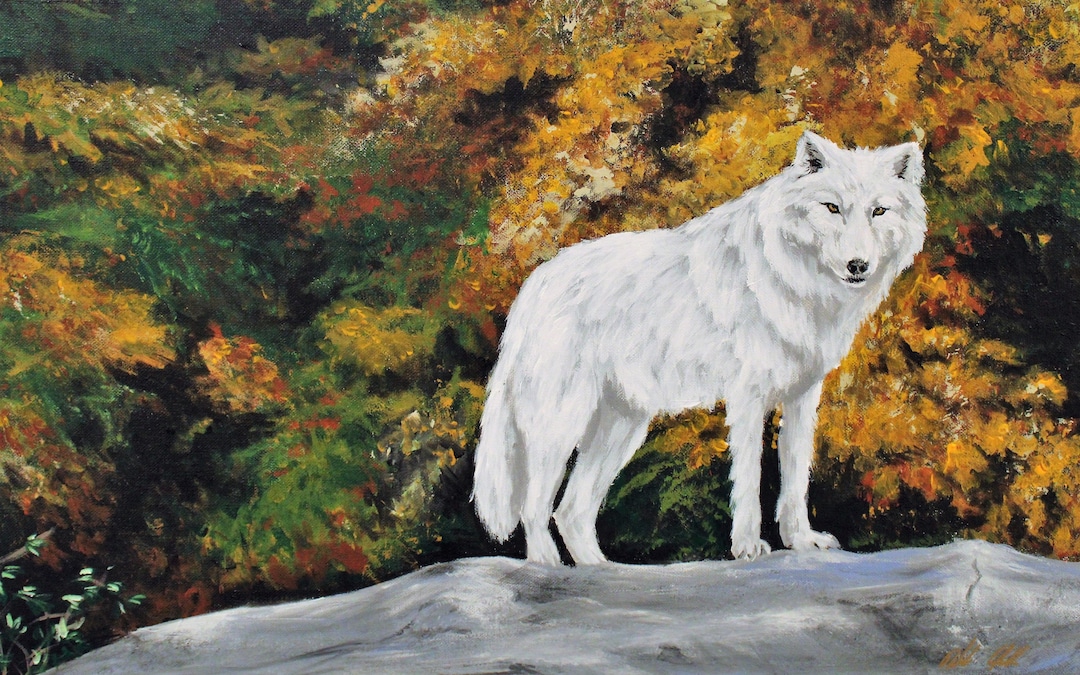 Wolf Art Print Nature White Wolf Wall Art Wildlife Decor 11 X 17 Fine ...