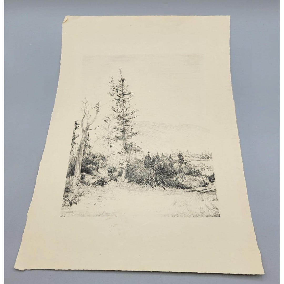 Colorado Landscape Etching Art Print Unframed Lester E Varian Black and ...