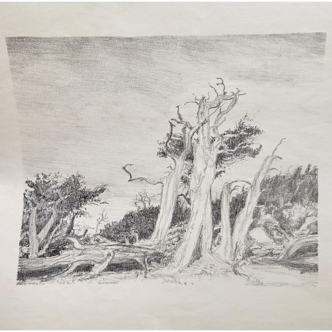 Colorado Landscape Etching Art Print Unframed Black and White Lester E Varian - Etsy