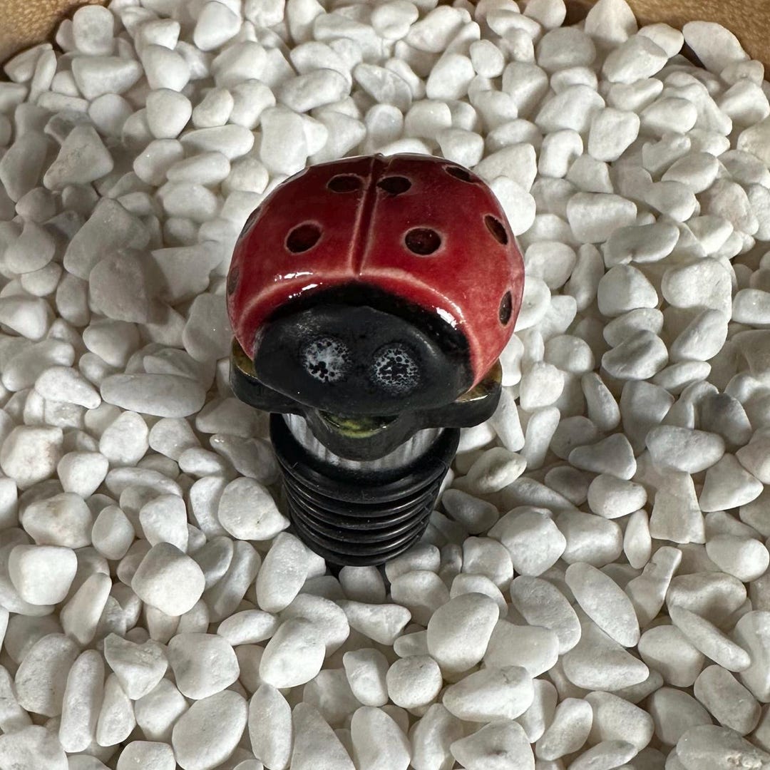 Handmade Ceramic Ladybug Bottle Stopper, Great for Soda Glass Bottle ...