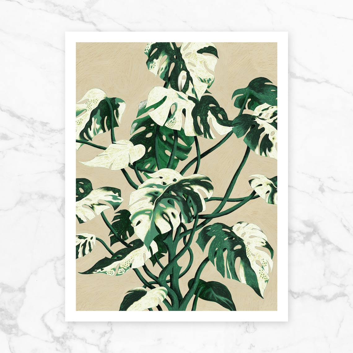 Monstera Albo Art Print Illustration Painting Variegated | Etsy