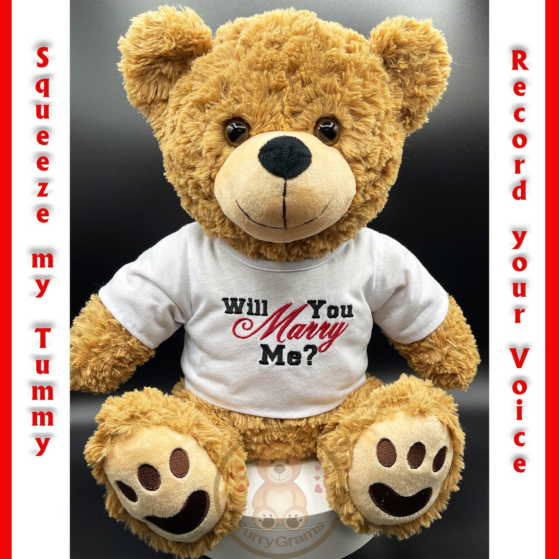 Will You Marry Me? Furrygram Teddy Bear - With Embroidered T-shirt ...