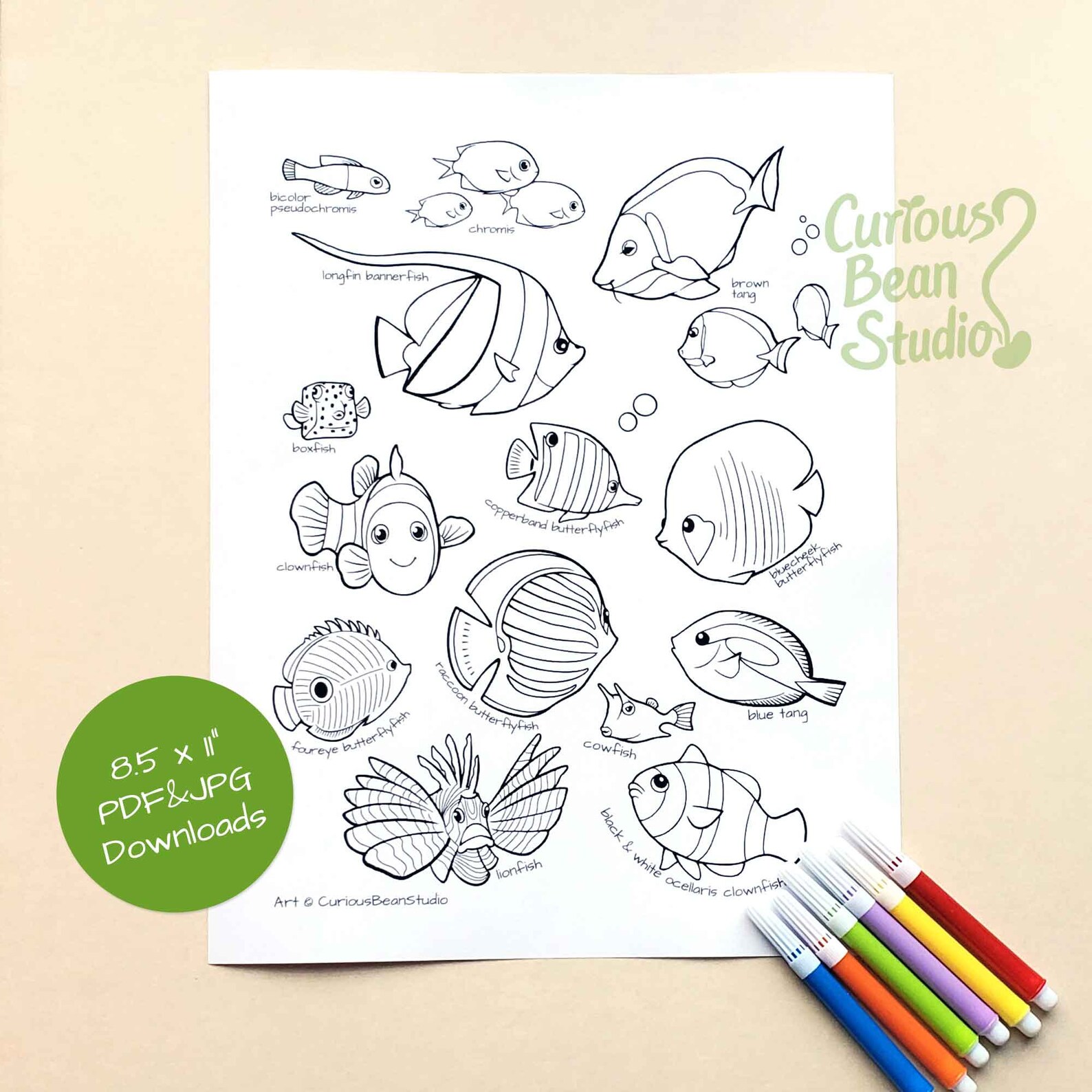 Saltwater Fish Coloring Activity Pages PDF JPG - Etsy