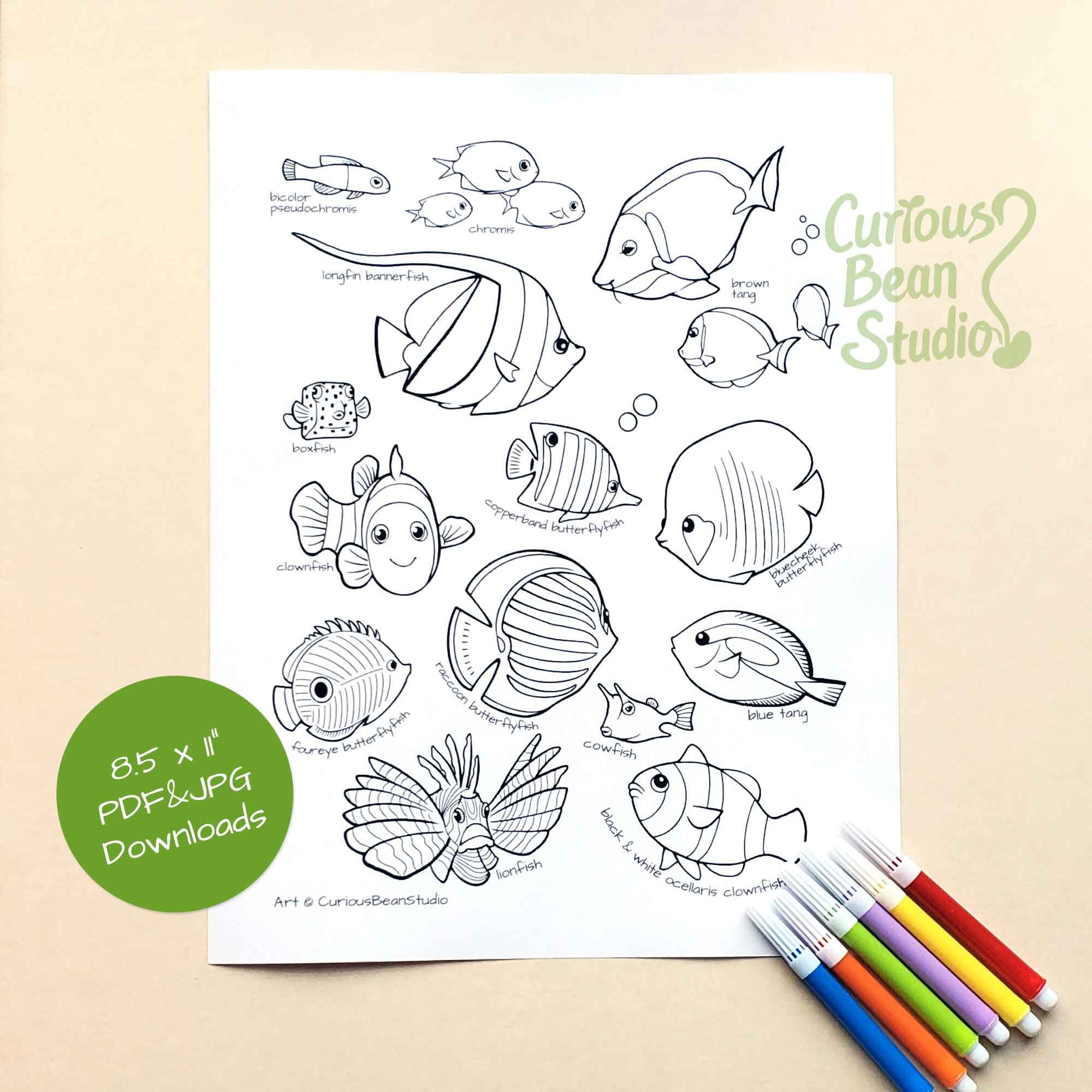 Saltwater Fish Coloring Activity Pages PDF JPG - Etsy