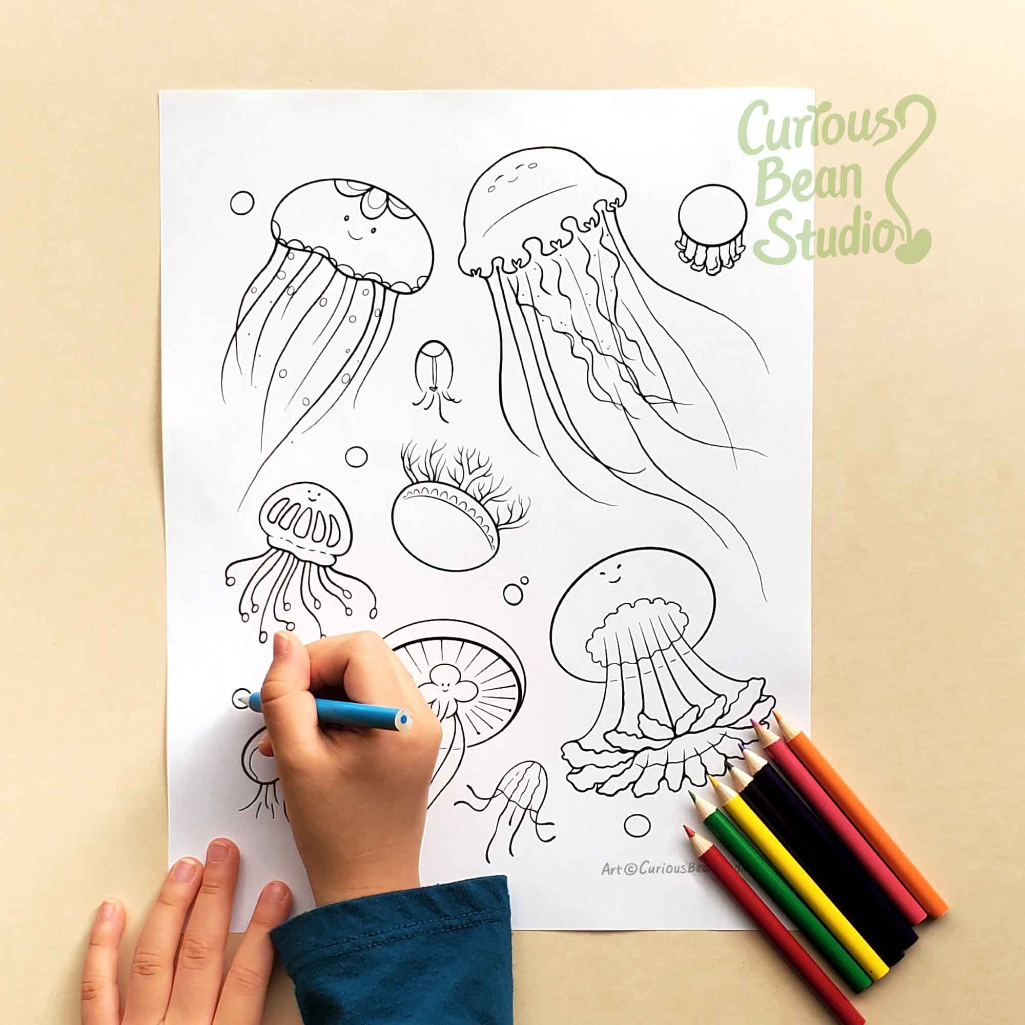 Fantasy Jellyfish Coloring Activity Pages PDF JPG - Etsy