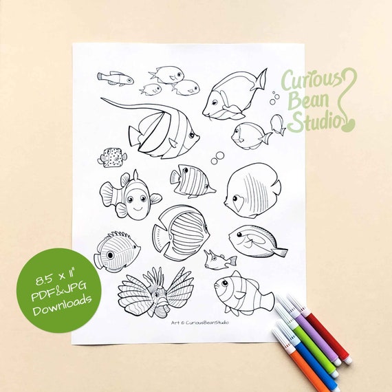 Saltwater Fish Coloring Activity Pages PDF JPG - Etsy