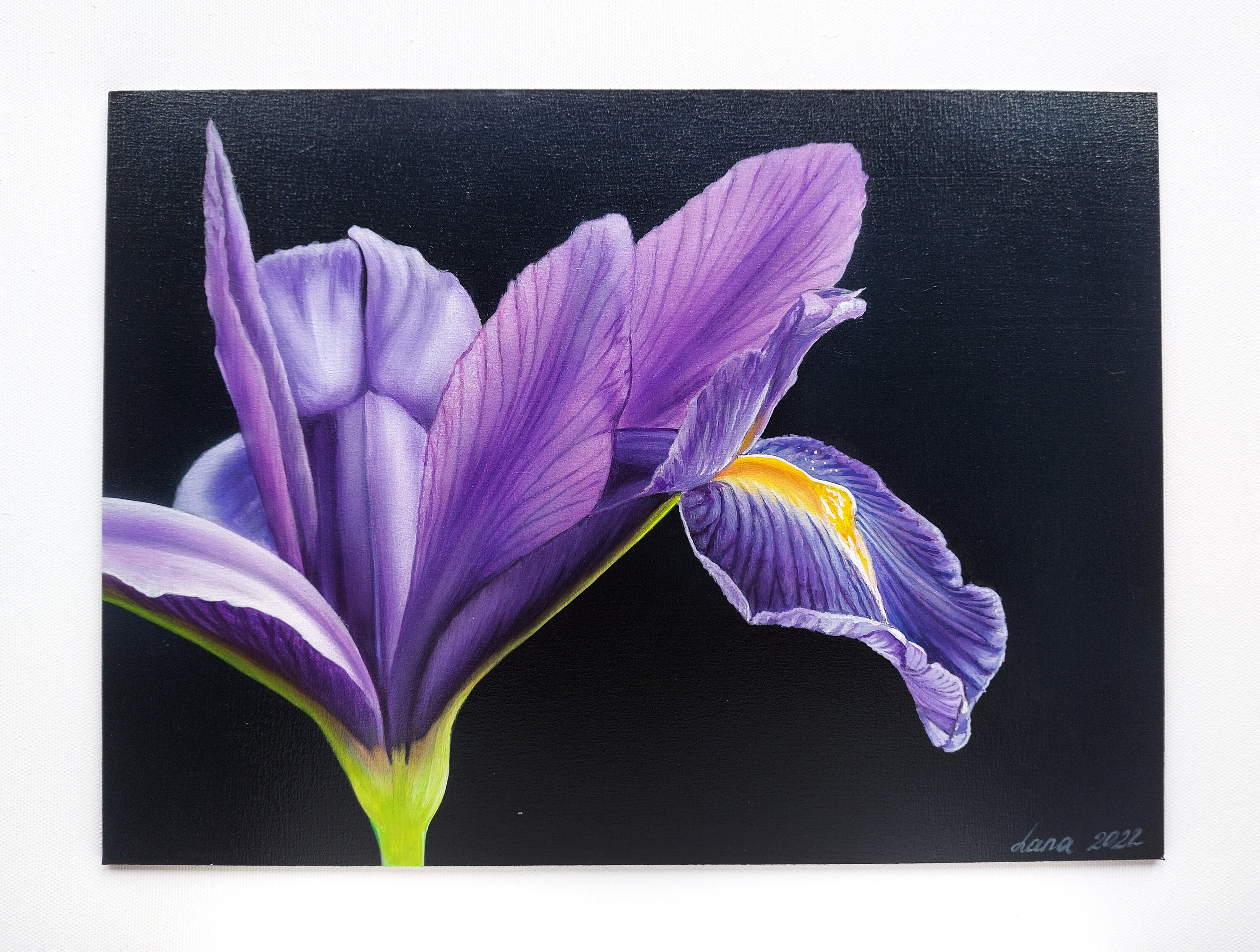 Realistic Flower Painting, Wall Art,original Acrylic Painting, Small ...