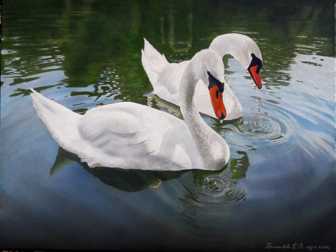 Painting Swans With Acrylic, Hyperrealistic Art, Painting on Canvas ...