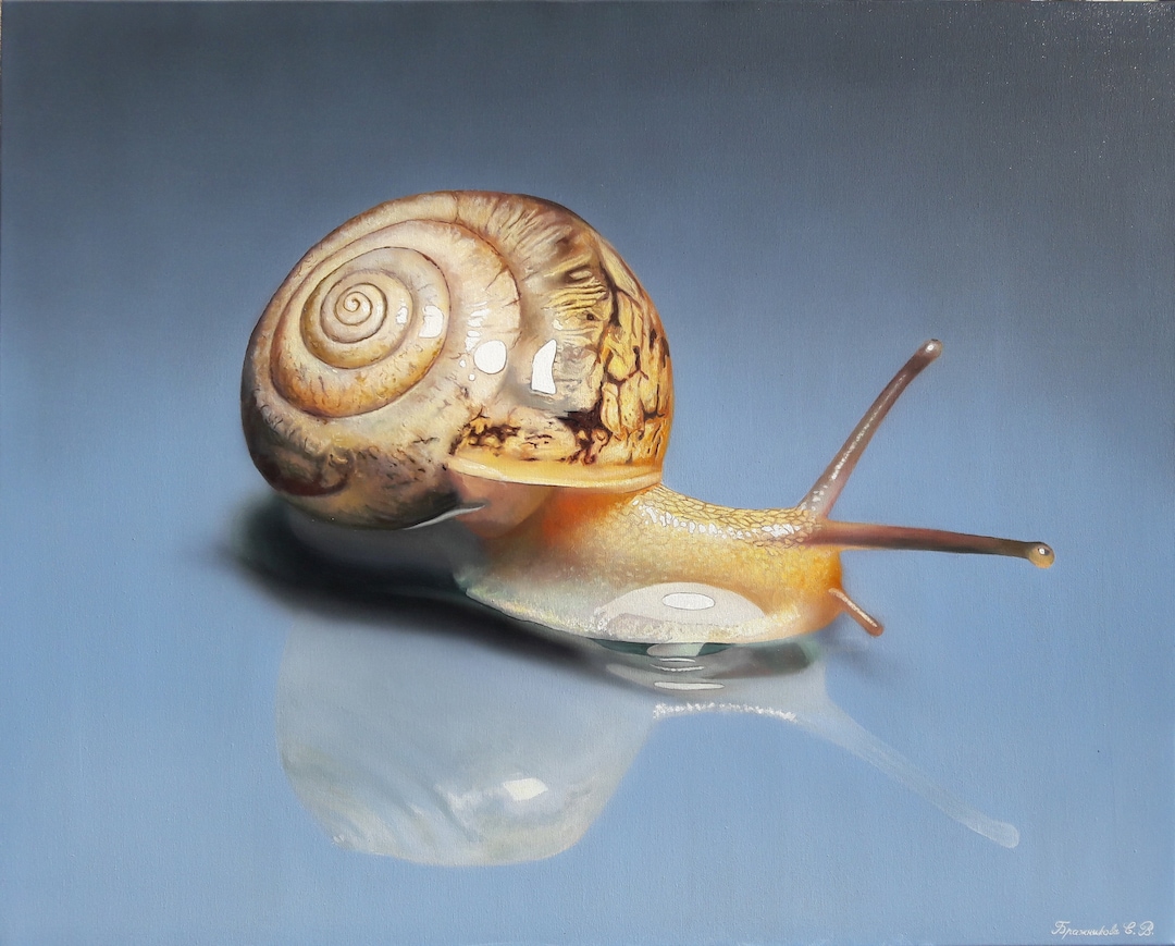 Ampullaria, Snail, Cochlea, Realistic Artwork, Wall Art, Realism ...
