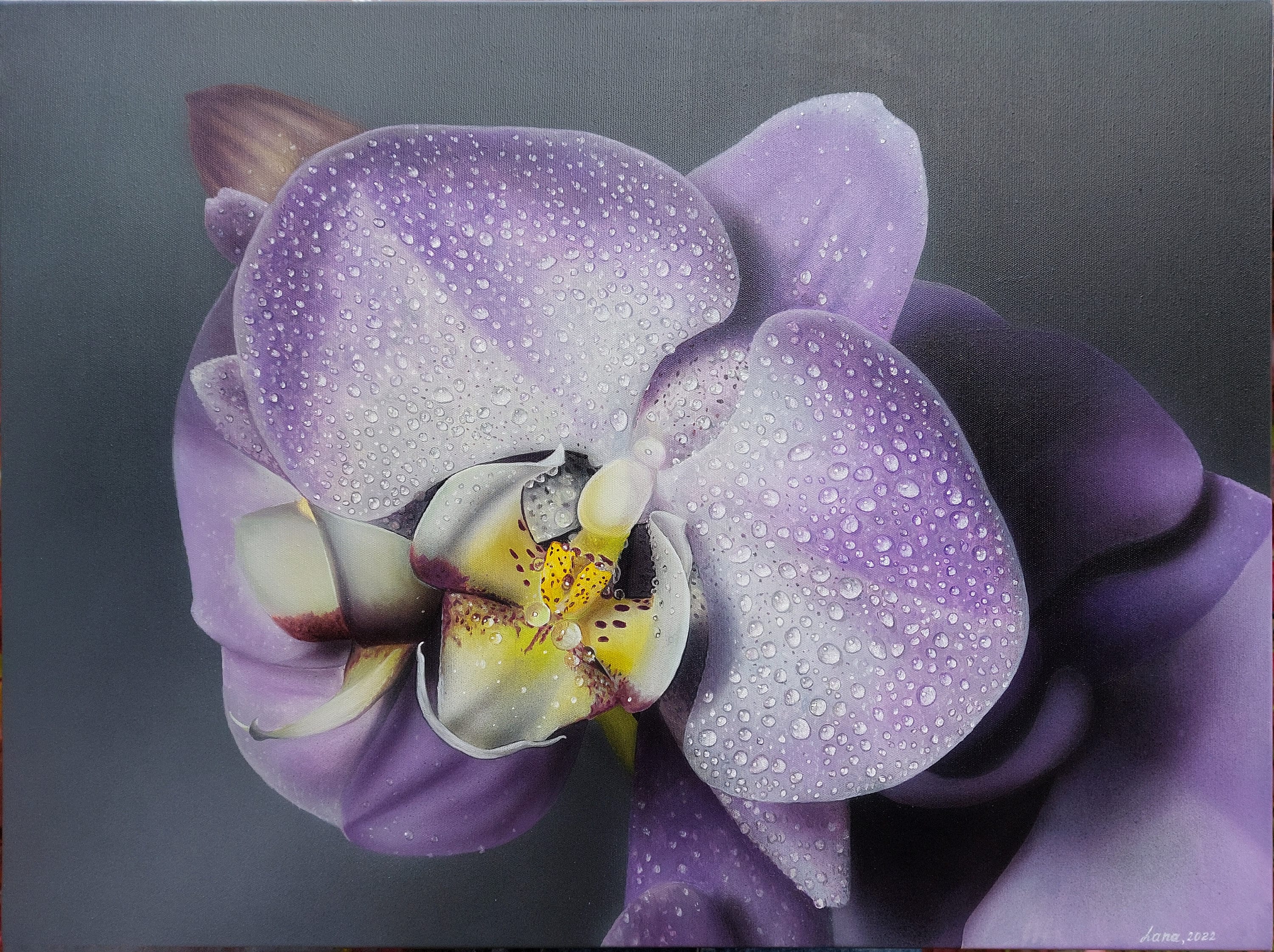 Orchid Painting on Canvas, Flowers Realism Painting, Hyperrealistic ...
