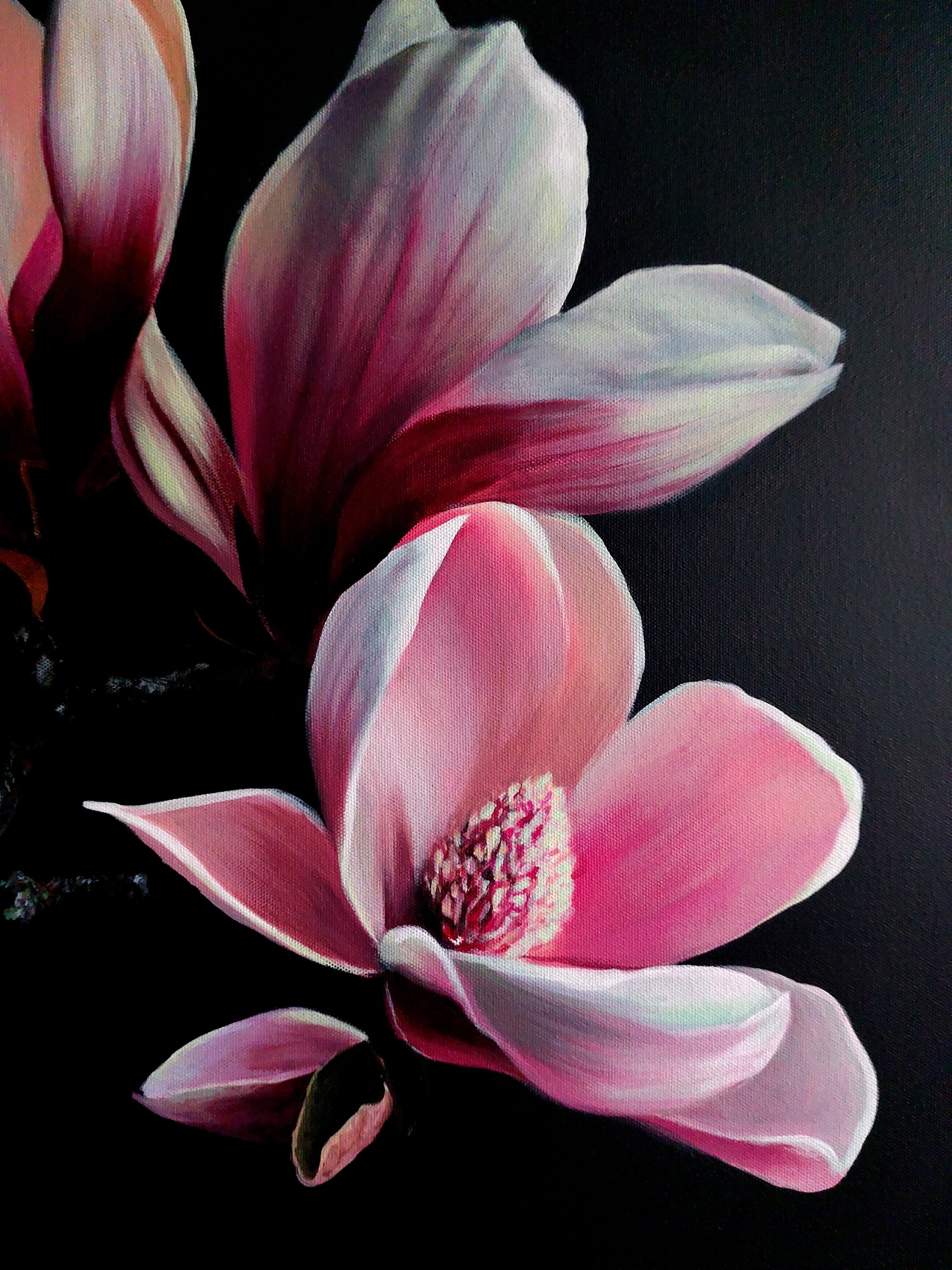Blooming Magnolia Realistic Painting, Acrylic Painting, Realistic ...