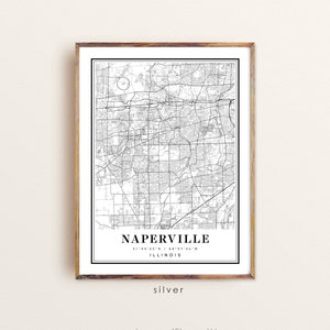 Naperville Illinois Map, Naperville IL Map, Naperville City Map ...