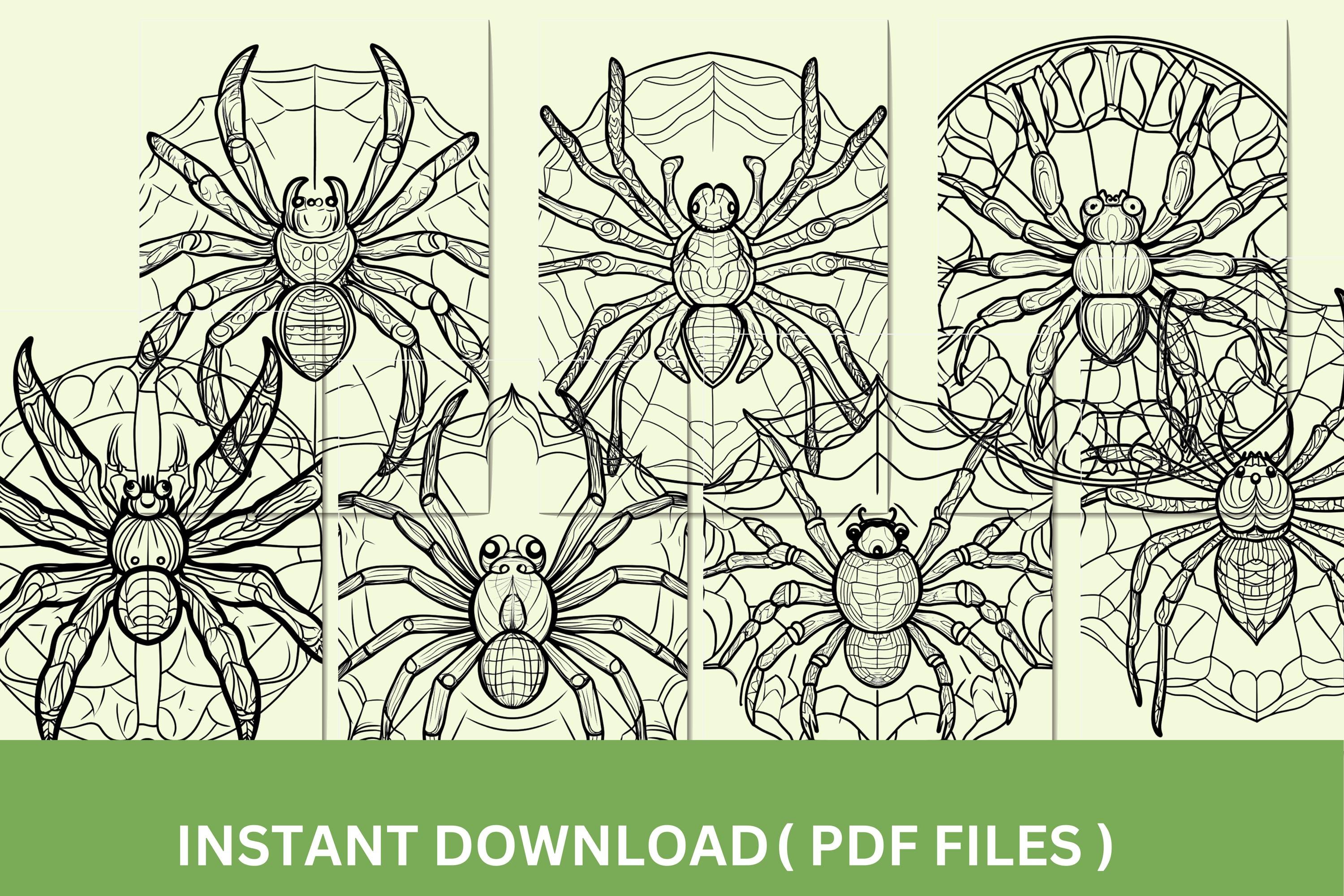 Mystical Spiders and Webs Coloring Book | 11x8.5 Inch | PDF Download ...