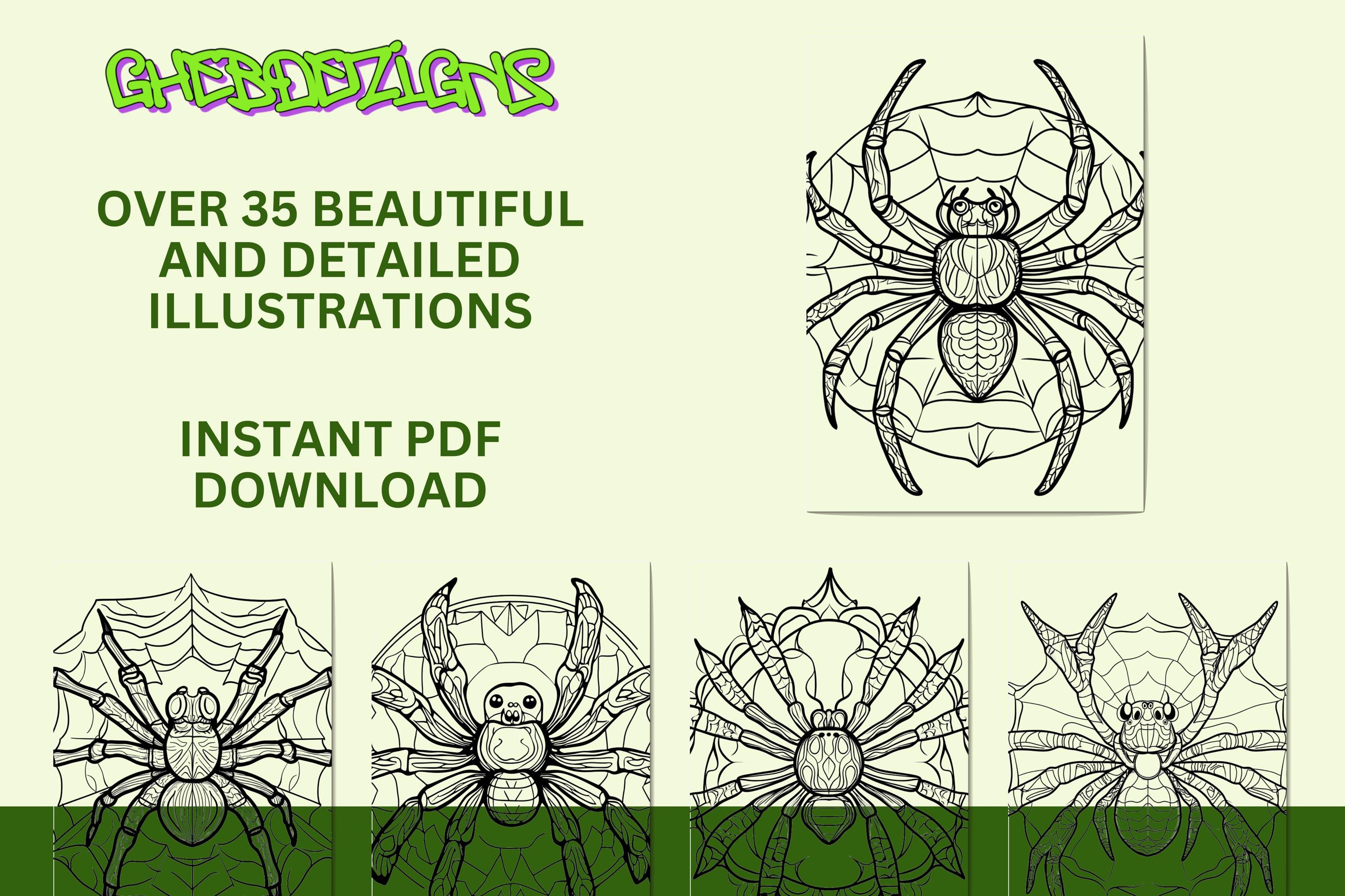 Mystical Spiders and Webs Coloring Book | 11x8.5 Inch | PDF Download ...