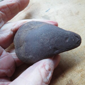 Plains Indians NATIVE AMERICAN INDIAN Small Celt Tool as Found Artifact ...