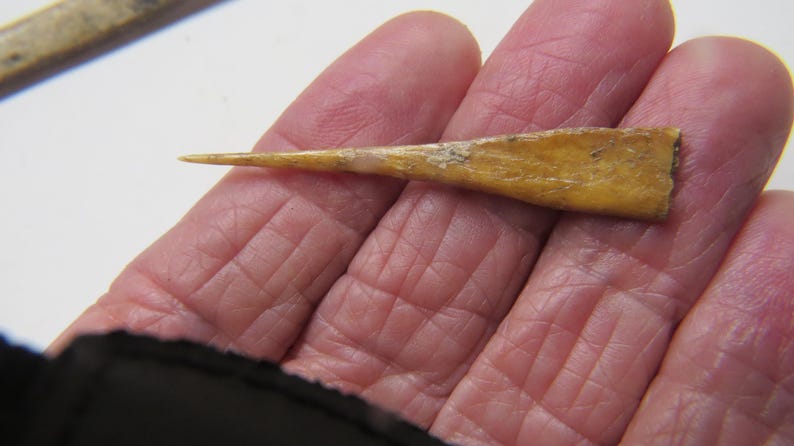 NATIVE AMERICAN INDIAN Artifact Primitive Bone Awls / Tools Very Nice ...