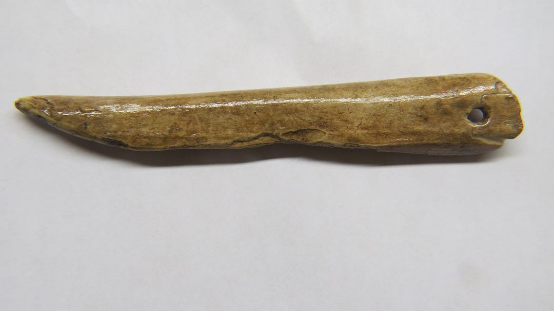NATIVE AMERICAN INDIAN Artifact Primitive Bone Awl Drilled Very Nice ...