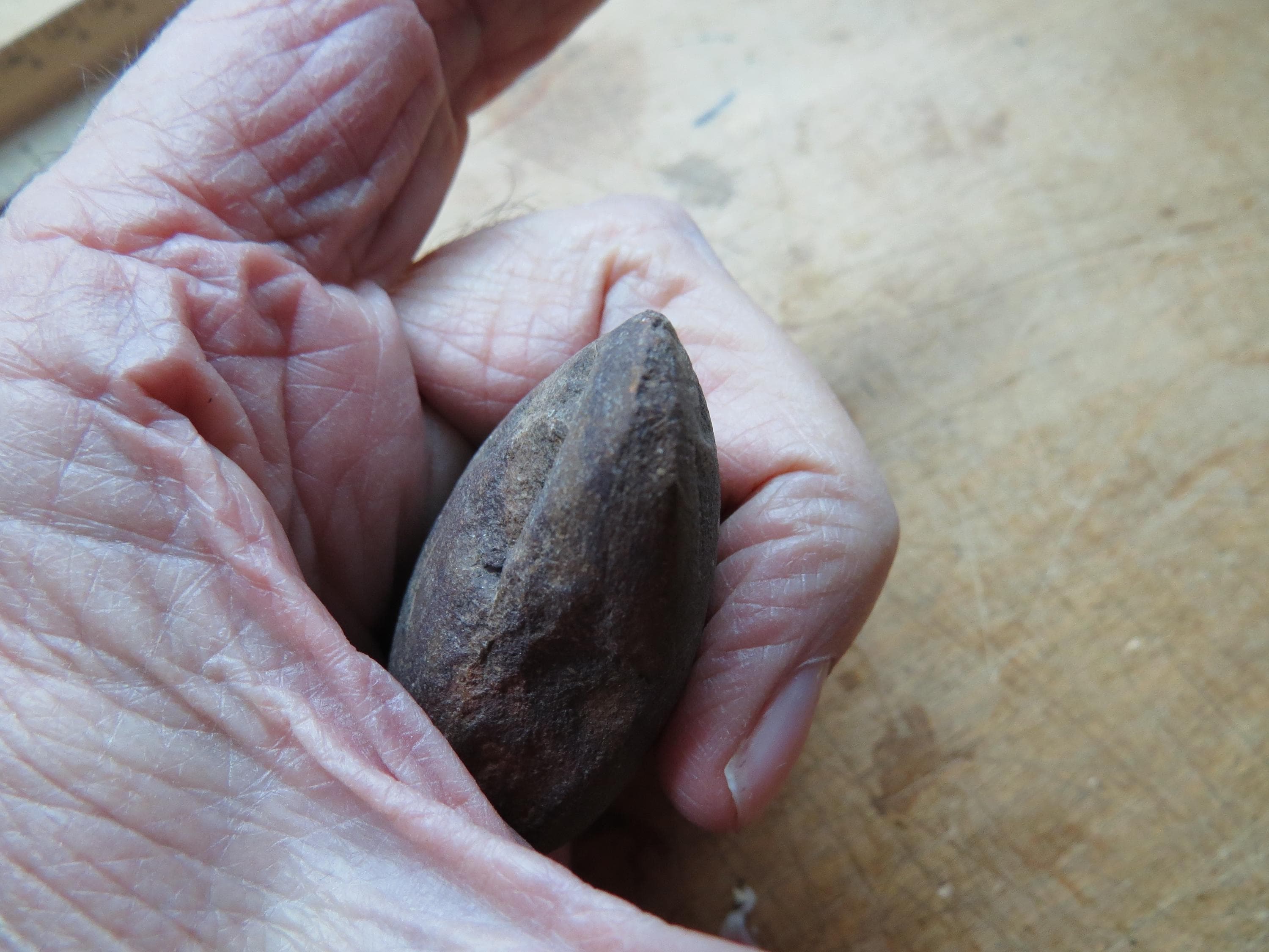 Plains Indians NATIVE AMERICAN INDIAN Small Celt Tool as Found Artifact ...