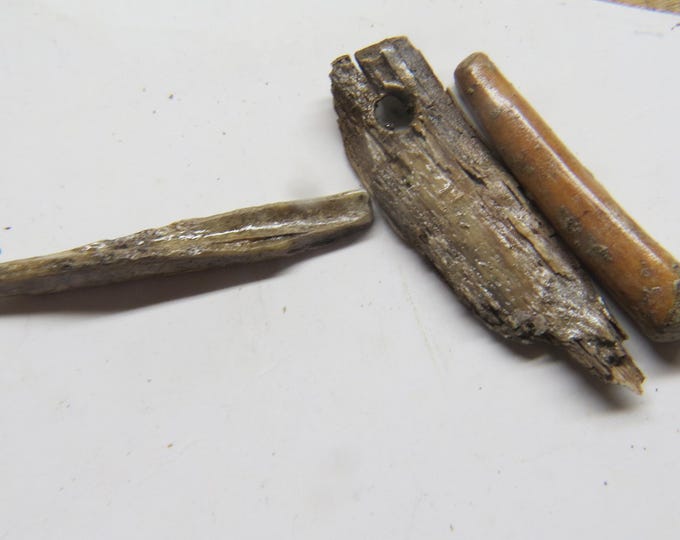 NATIVE AMERICAN INDIAN Artifact Primitive Bone Awls / Tools Very Nice ...