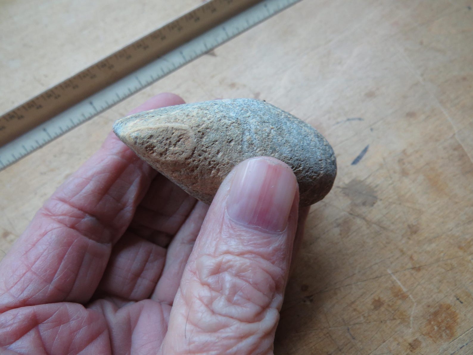 Plains Indians NATIVE AMERICAN INDIAN Small Celt Tool as Found Artifact ...