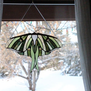 Stained Glass Pattern Hobby License: Luna Moth Pdf - Etsy