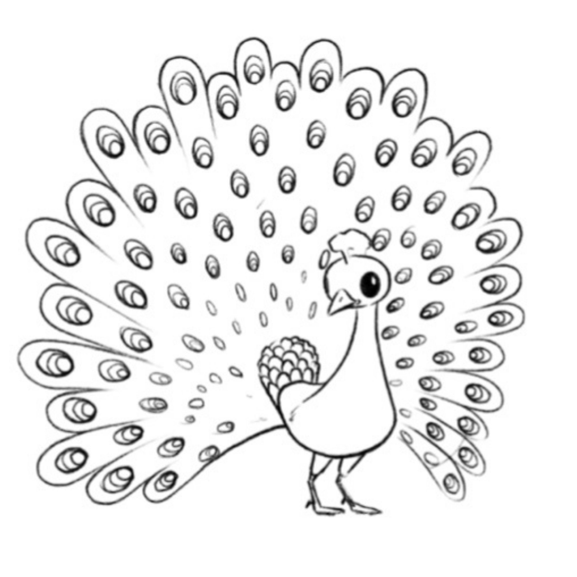 Peacock Story Colouring Pages, Chicken Colouring Sheets, Educational ...
