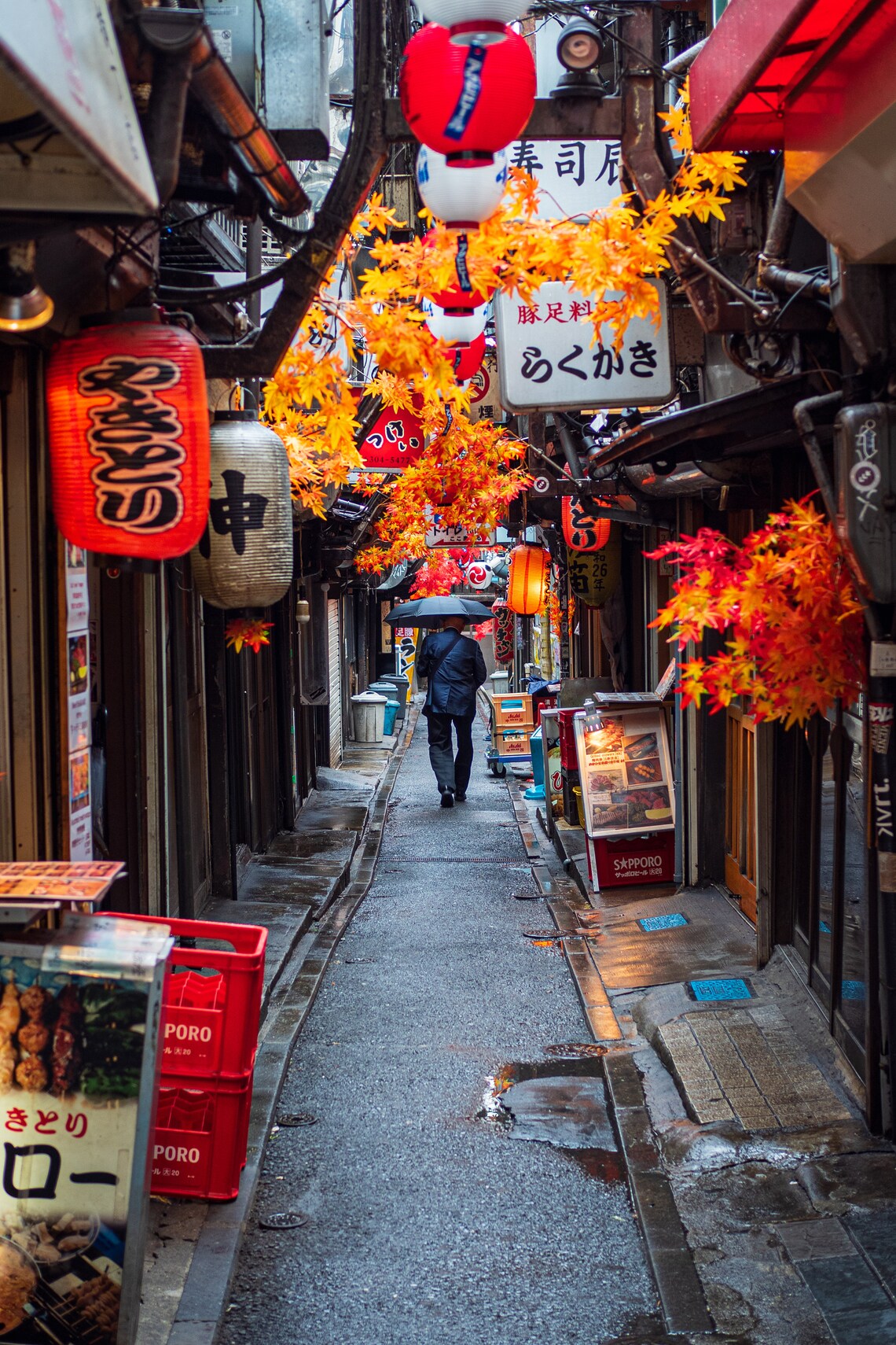 Shinjuku Alley, Photo Print, Japan, Tokyo, Omoide Yokocho, Cityscape ...