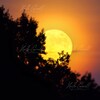 Spring Moon River Photograph, Full Moon, Moonscape, Night Landscape ...