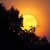 Spring Moon River Photograph, Full Moon, Moonscape, Night Landscape ...