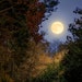 Fall Hunter's Moon Photograph, Autumn Landscape Photography Print - Etsy