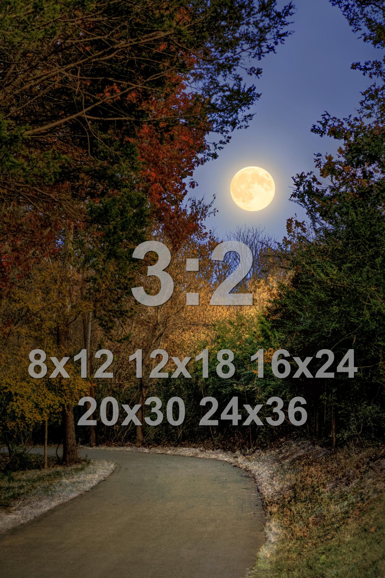 Fall Hunter's Moon Photograph, Autumn Landscape Photography Print - Etsy