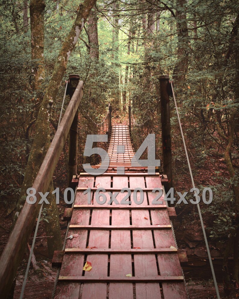 Swinging Bridge at Collins Gulf Trail in Savage Gulf State Park ...