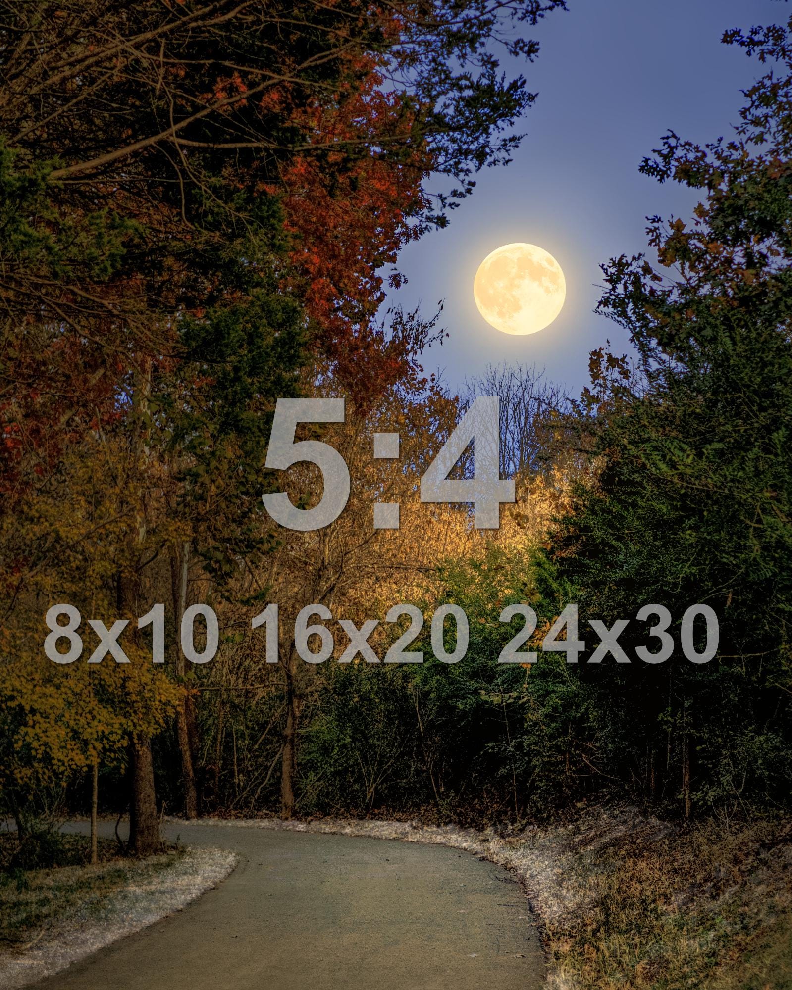 Fall Hunter's Moon Photograph, Autumn Landscape Photography Print - Etsy