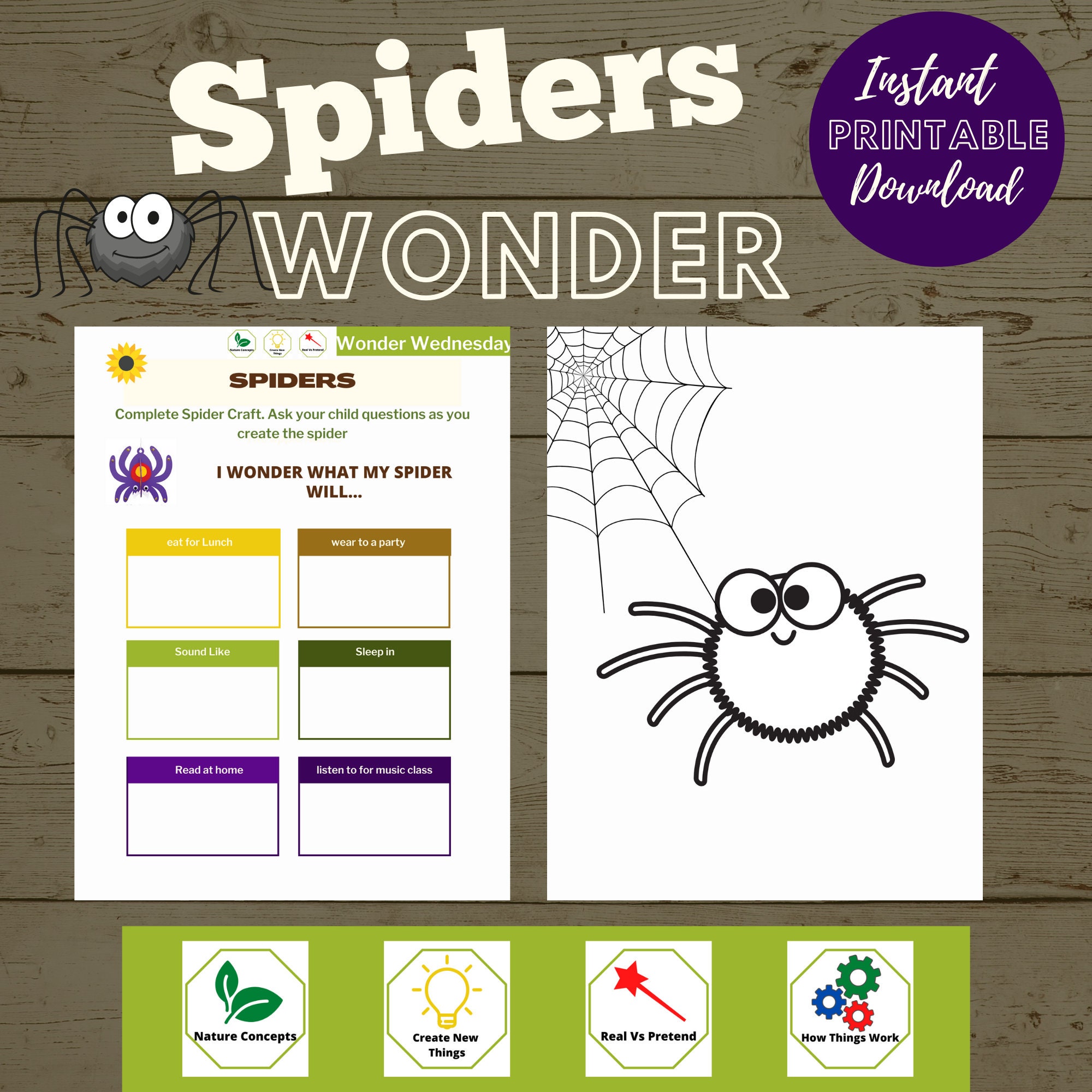 Homeschool Printable Spiders-hands on Activities-math, Story, Science ...