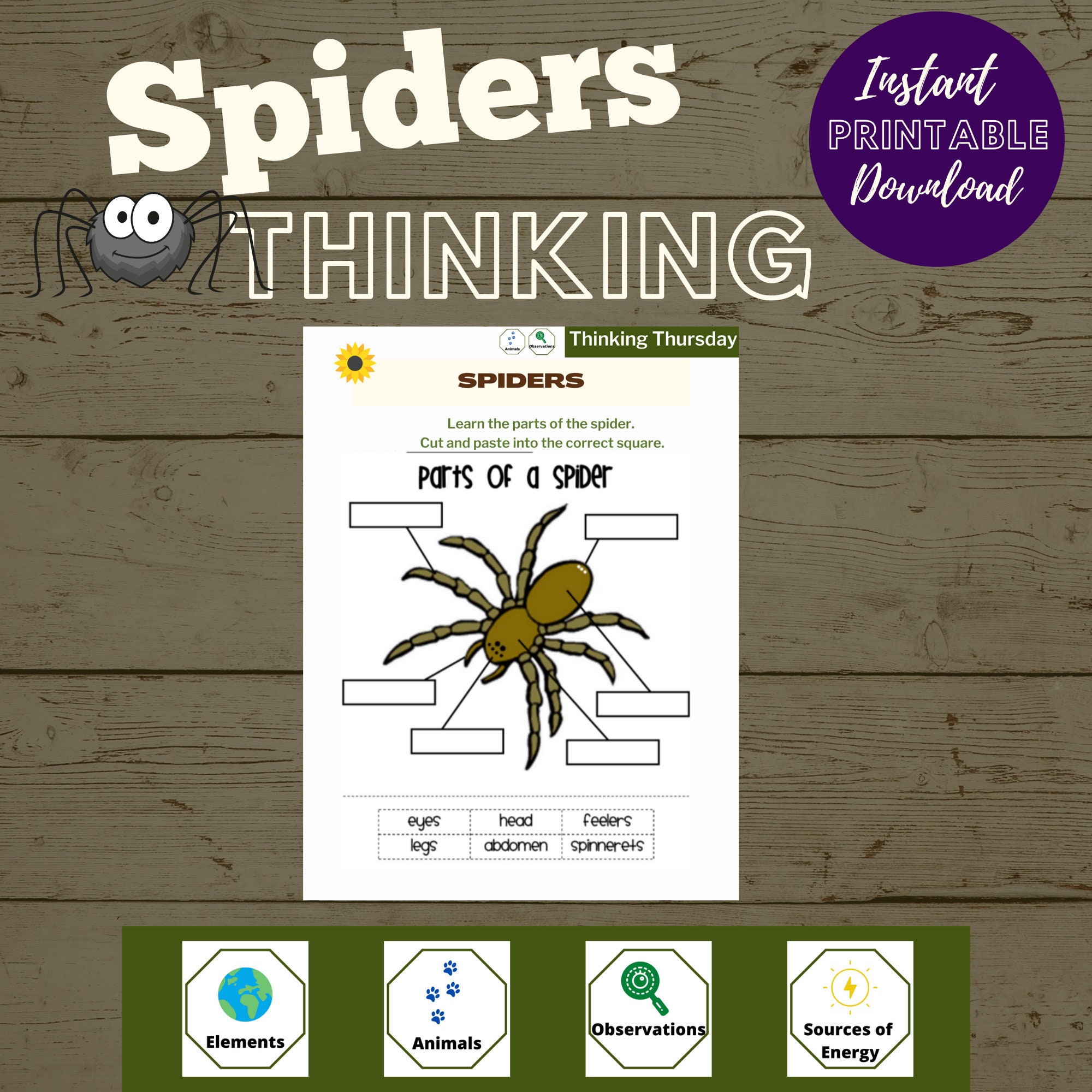 Homeschool Printable Spiders-hands on Activities-math, Story, Science ...